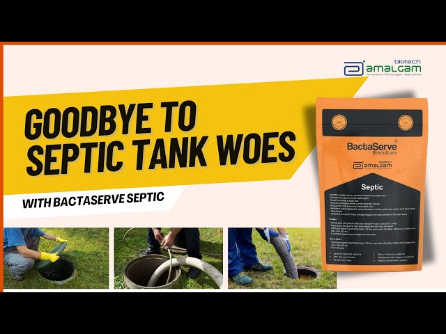 Septic Tank Bacteria - Anaerobic Bacteria Culture : Effective ...