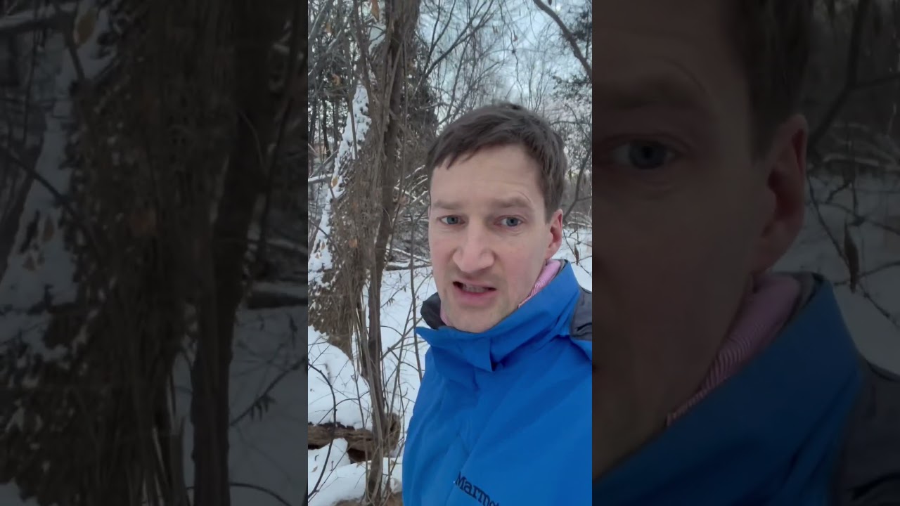 Identifying European buckthorn in the winter #environment #buckthorn #nativeplants