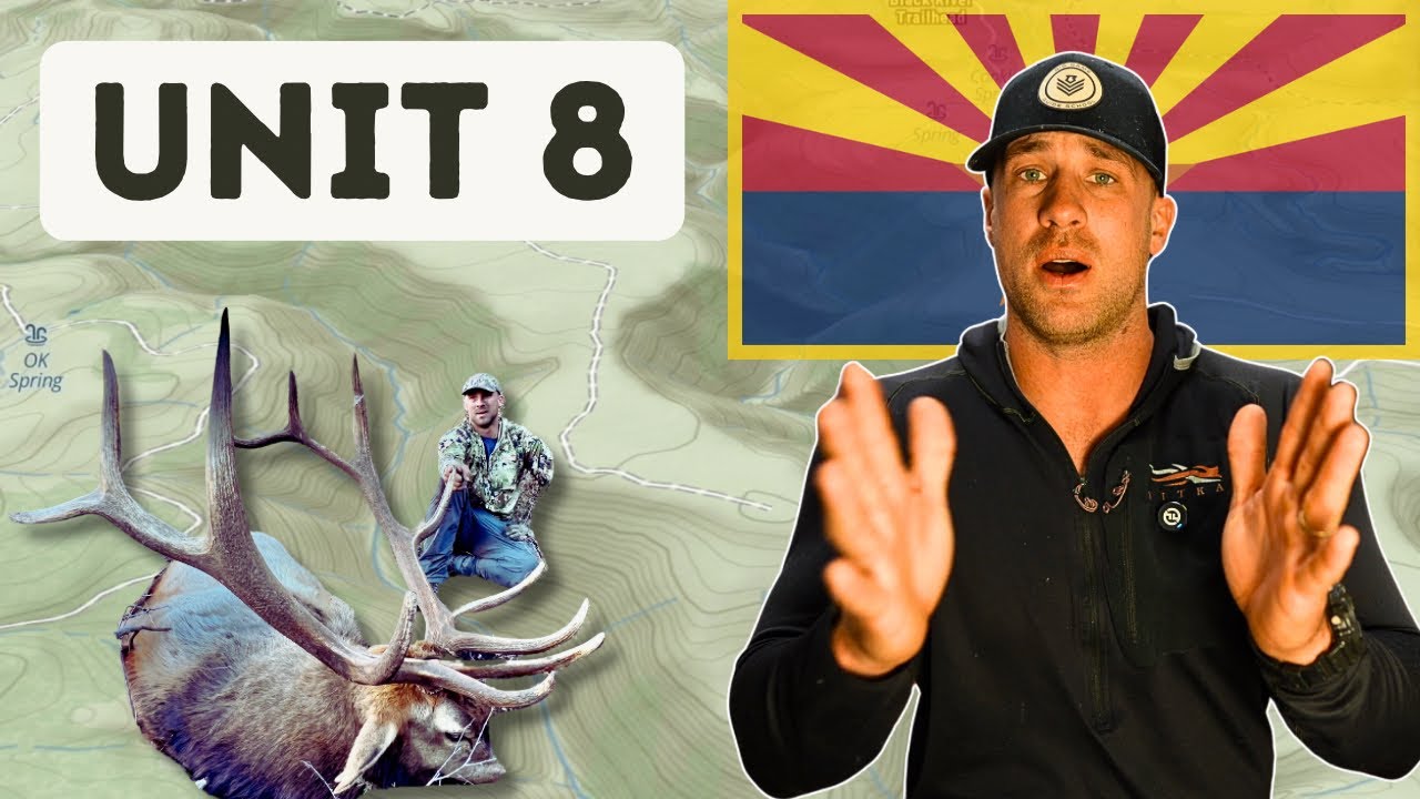 Arizona Elk Hunting Unit 8: Draw Odds, Best Hunt Spots, and Proven Strategies (2025)