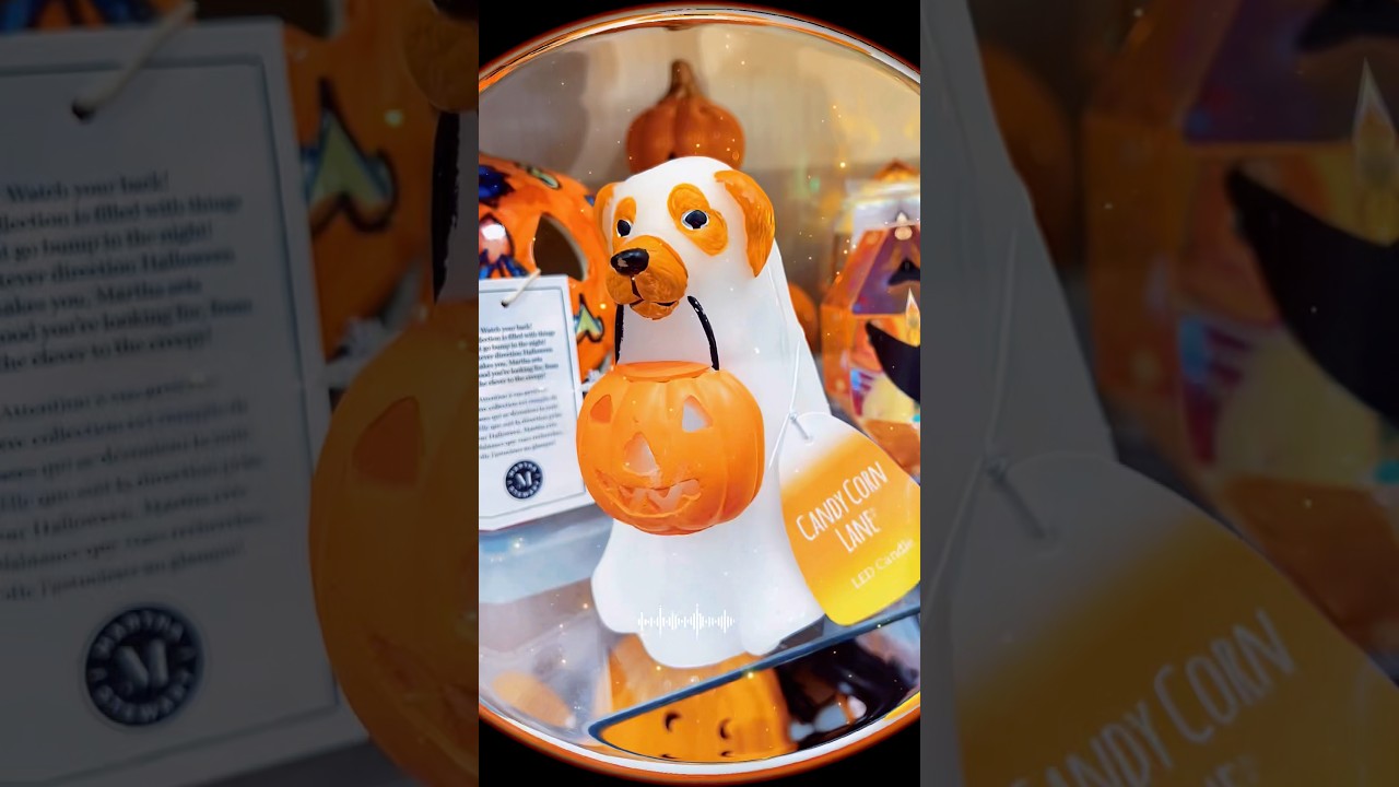 Halloween decorations at #tjmaxx #halloween #cute #pets #tiktok