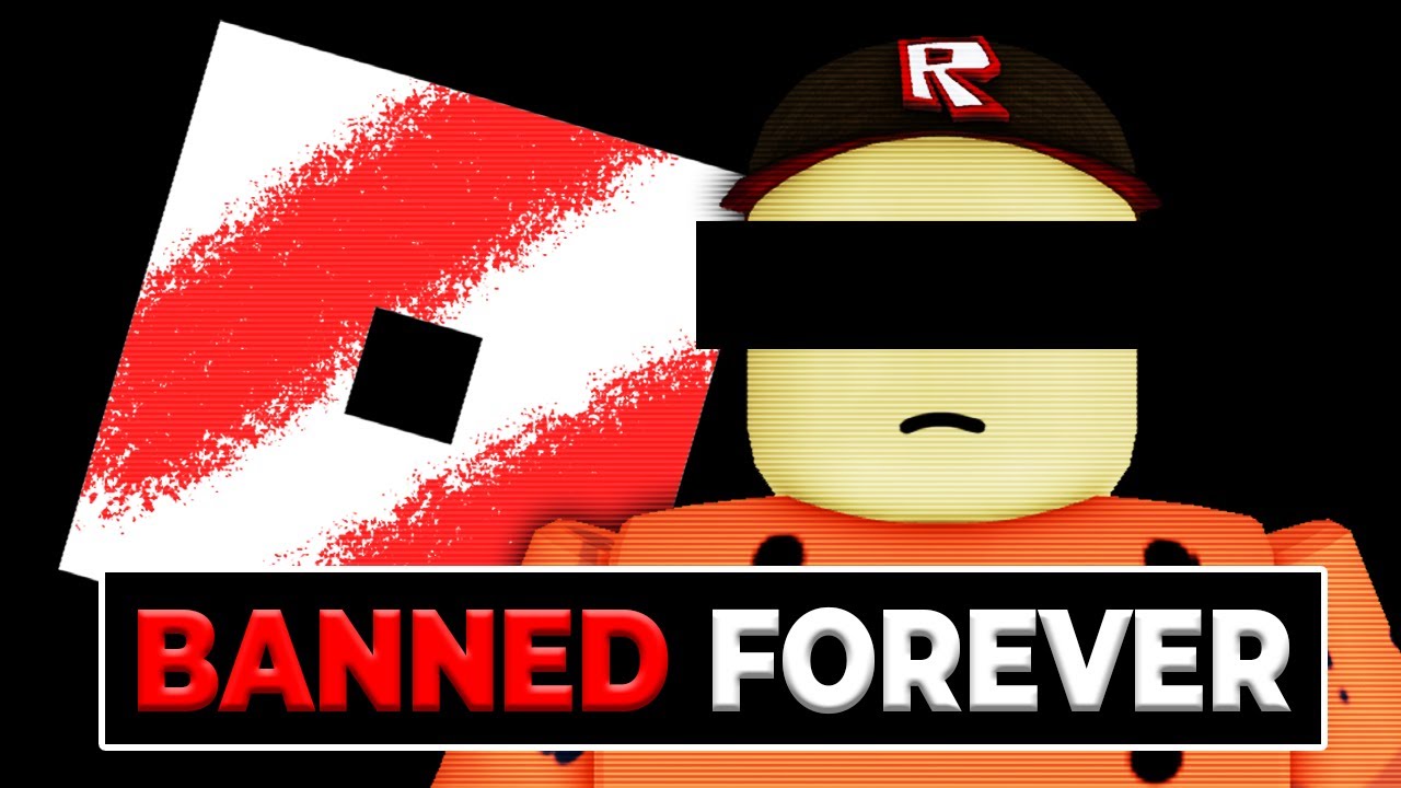 SO ROBLOX BANNED HIM...
