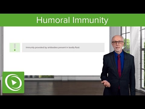 Introduction to Humoral Immunity – Immunology | Lecturio