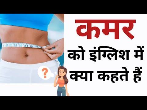 कमर को इंग्लिश में क्या कहते हैं | Kamar ko english mein kya kahate Hain, Body part Kamar in english