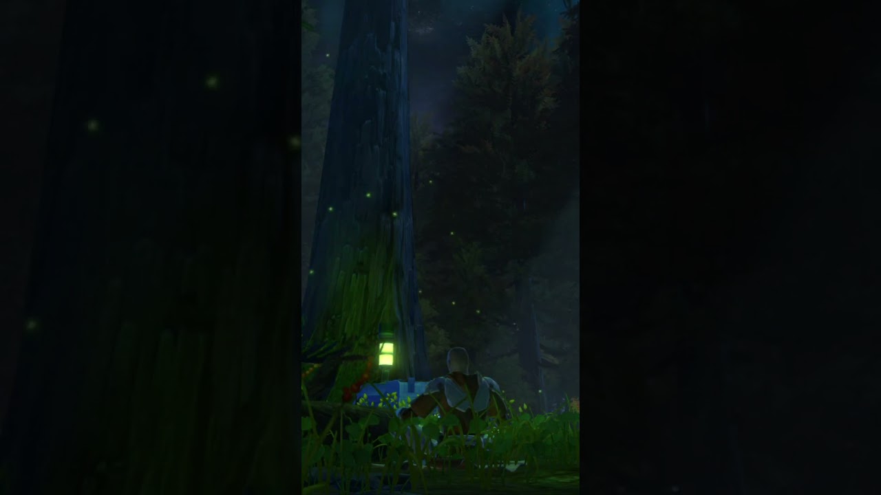 Jedi Code Reflection | Short