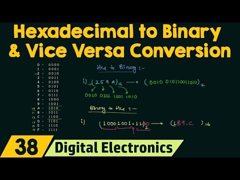 Hexadecimal to Binary and Binary to Hexadecimal Conversion Video ...