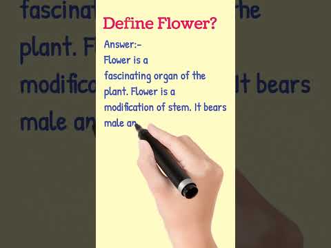 Define Flower?/#definition /#shorts