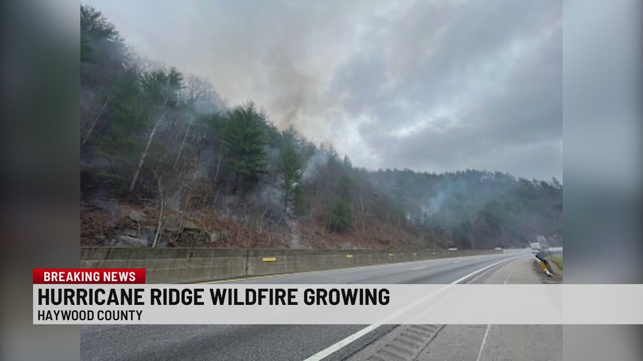 Wildfire burns 500 acres in Haywood Co.