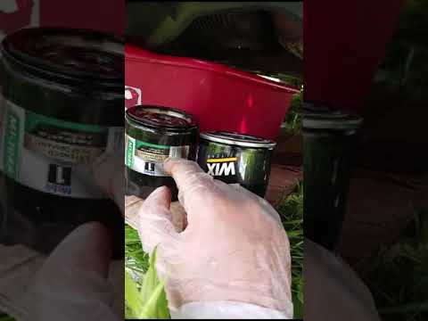 mobil 1 engine oil filter vs wix oil filter
