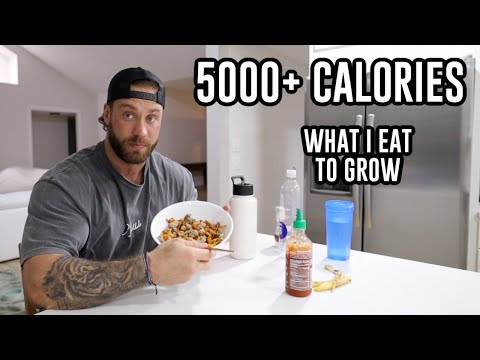 Bodybuilder Chris Bumstead Shares His 5,000+ Calorie Bulking Diet