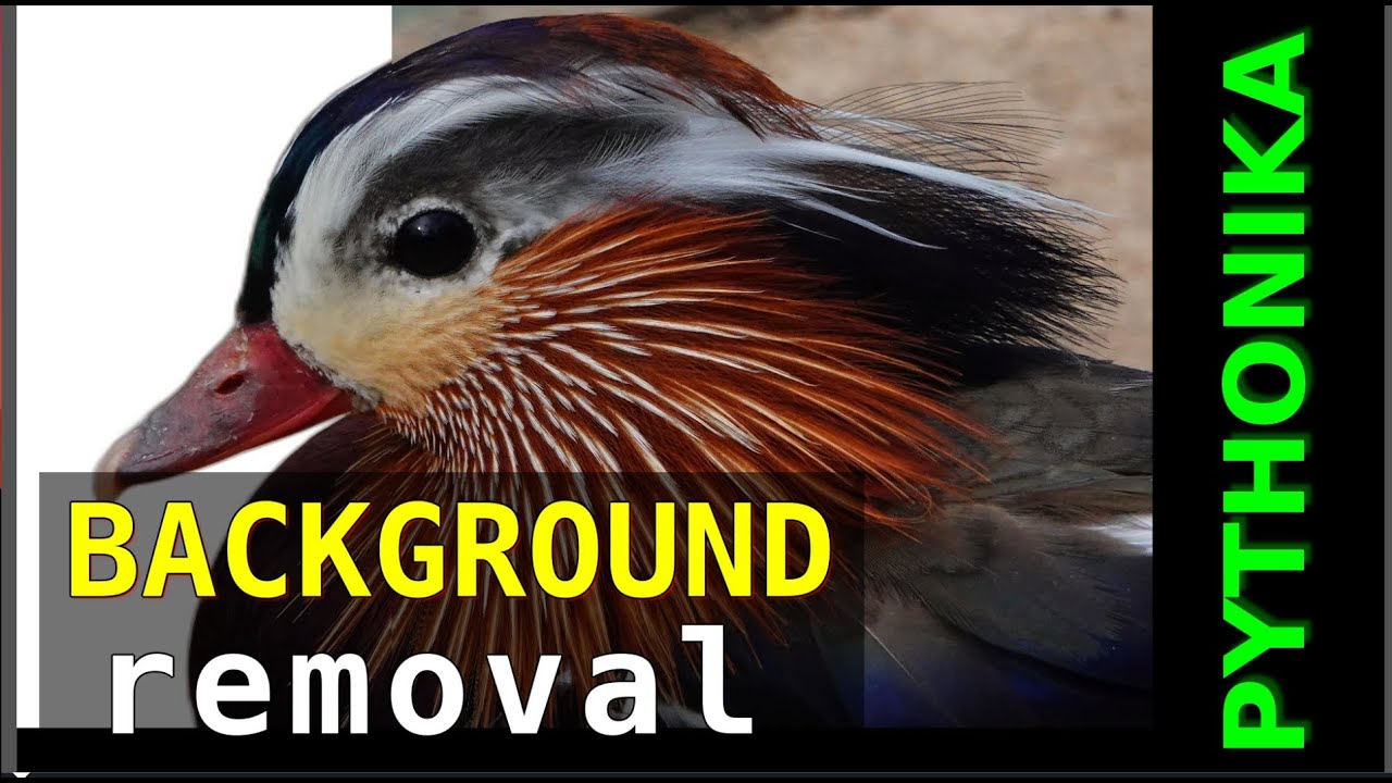 Removing image background with Python