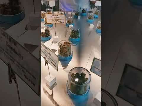 COOKIES DISPENSARY