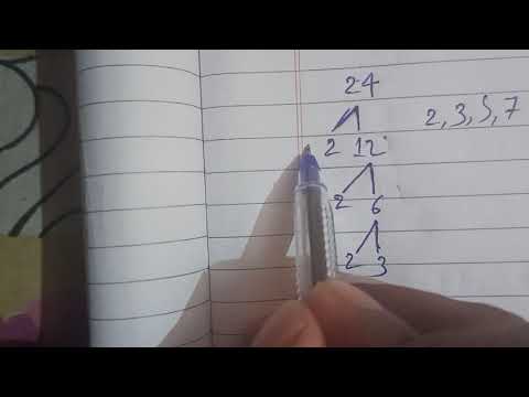 factor tree of 24 | prime factor tree |