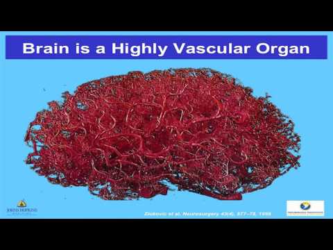 NEUROLOGY INSTITUTE FOR BRAIN HEALTH AND FITNESS