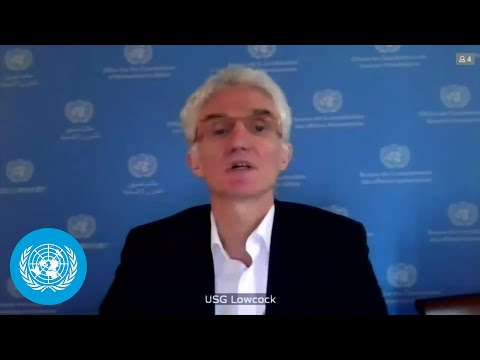 60% of Syrians without Access to Safe Food - OCHA chief