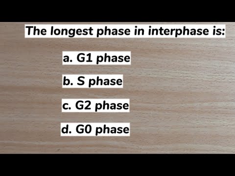 Multiple choice questions on Cell cycle