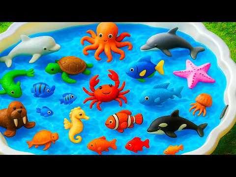 Kids Learn | Learn Mysterious Ocean Animals Name with Toys | Deep sea Animals Name | Preschool Kids