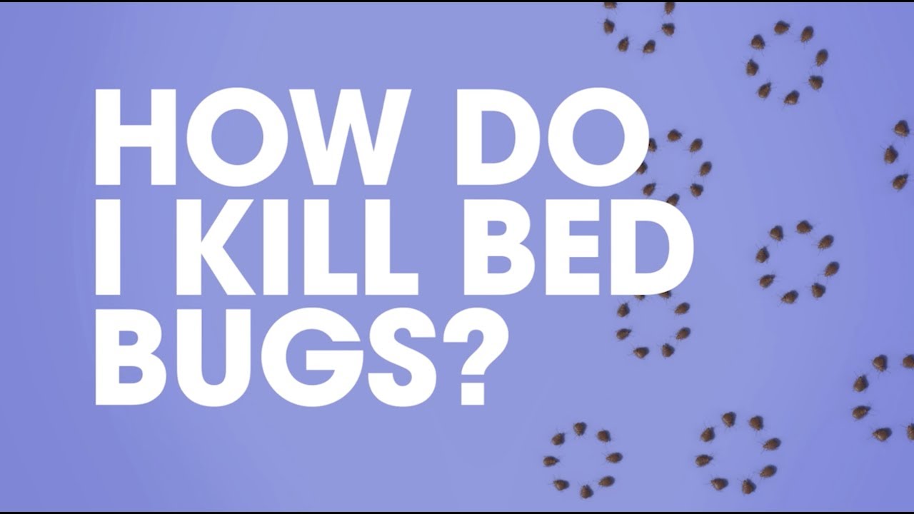 Raid®: How Do I Kill Bed Bugs?