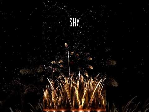 BON ANNIVERSAIRE SHY !