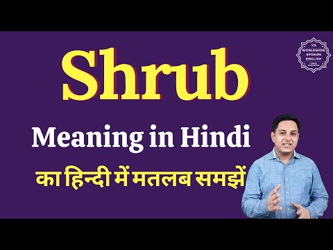 Shrub meaning in Hindi | Shrub ka matlab kya hota hai | English vocabulary words