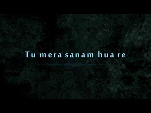 SANAM RE full mp3 with lyrics