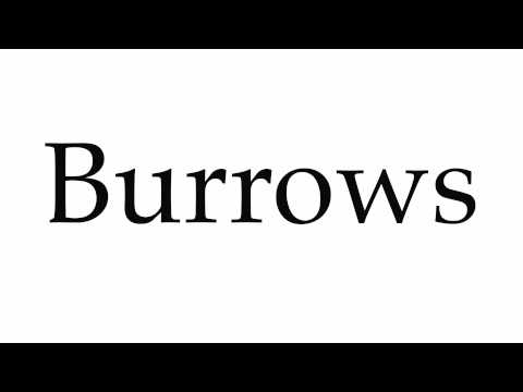 How to Pronounce Burrows