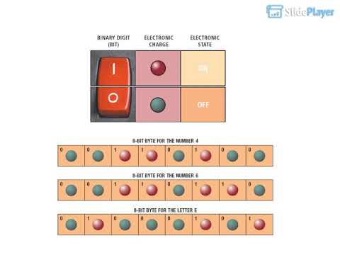 COMPONENTS OF THE COMPUTER SYSTEM UNIT