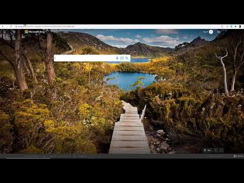 types of search engines