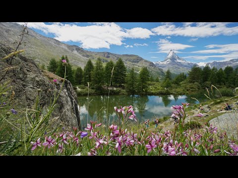 Matterhorn erleben 🇨🇭