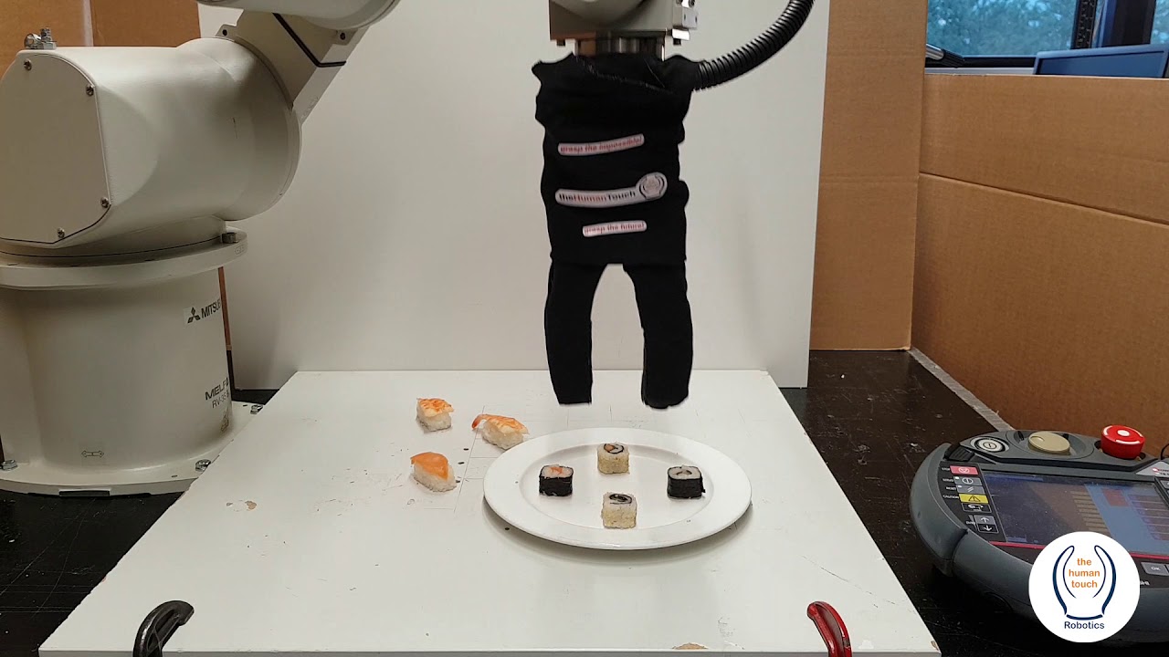 The Human Touch Robotics | F6S