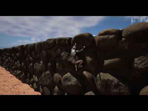 Unreal 5 C++ – Climbing System – Nicolás Bertoa