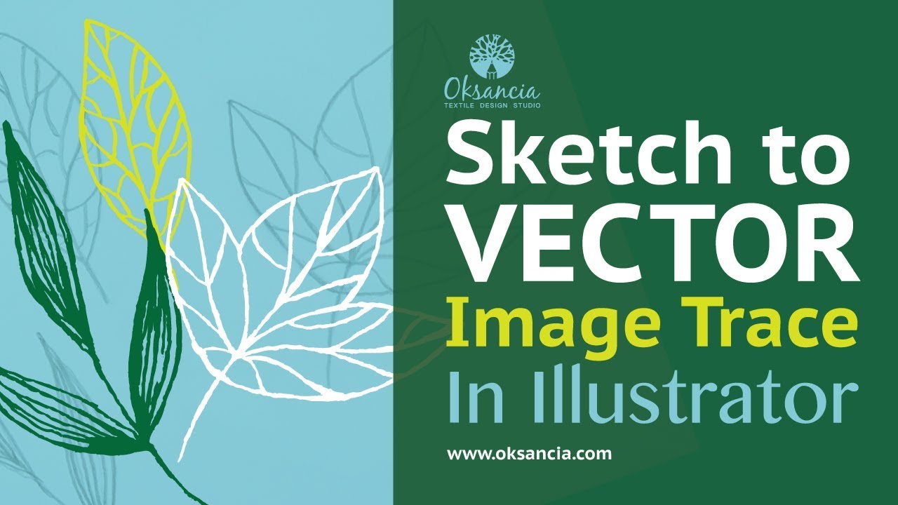 How to live trace in Illustrator. Turn a sketch into vector elements Adobe Illustrator CC tutorial.
