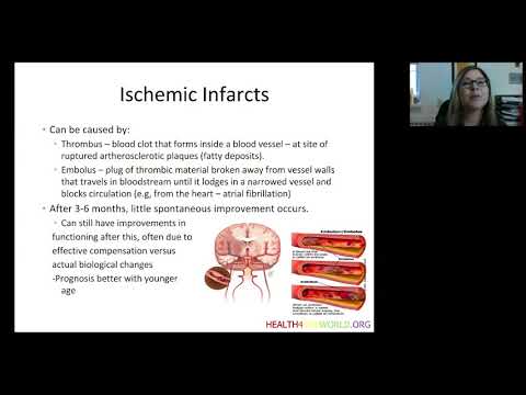 Neuroanatomy and functional sequelae of stroke Part 1 | Health4TheWorld Academy