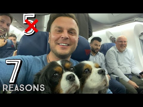 Why Detroit’s DTW Airport Is AWESOME ft. Andiamo - CRAZY ENDING!