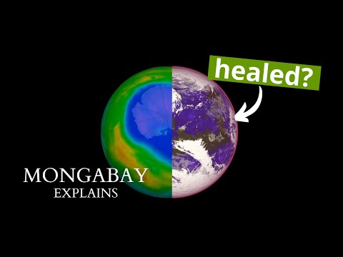 Did the world fix the hole in the ozone layer? | Mongabay explains