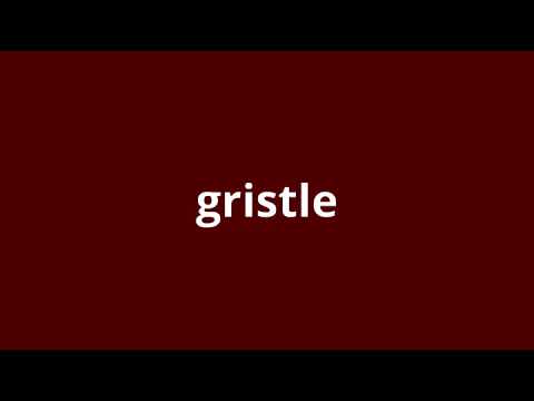 what is the meaning of gristle.
