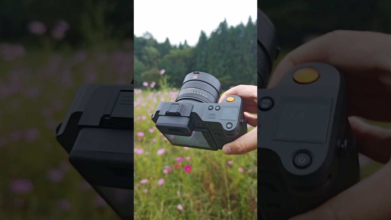 Medium Format Close-Up | Hasselblad X2D II 100C Detail Shot