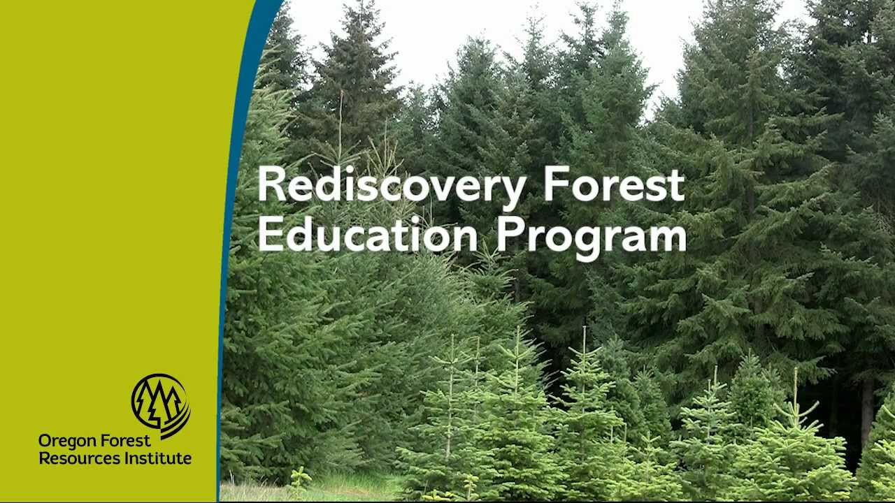 The Rediscovery Forest Education Program