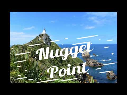 Driving in New Zealand [TIME-LAPSE] - Dunedin, Parakaunui Falls, Nugget Point, Allans Beach
