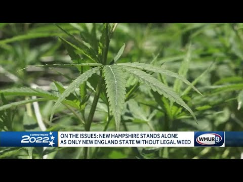 NH only New England state without legal marijuana