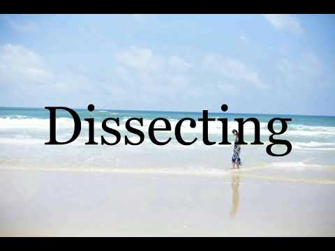 How To Pronounce Dissecting🌈🌈🌈🌈🌈🌈Pronunciation Of Dissecting