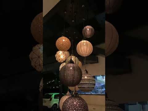 Foresta Dehradun #dehradun #brezza #foresta #night #cafe #shortvideo #shorts #restauranttrends