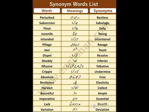 words synonyms/grammar worksheet