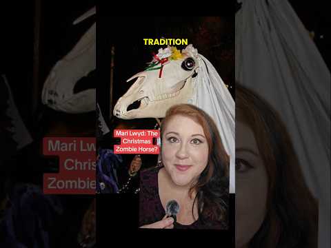 Would you face Mari Lwyd, the Welsh Christmas zombie horse, in a battle of rhymes & song? #MariLwyd