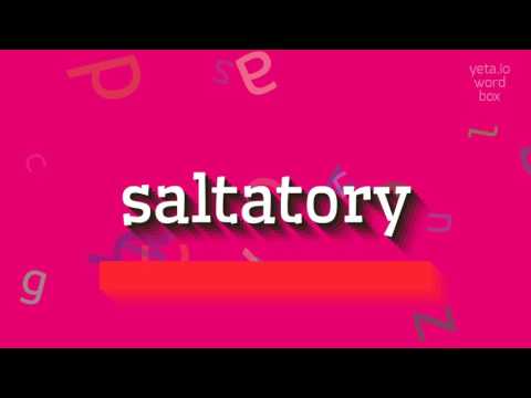 How to say "saltatory"! (High Quality Voices)