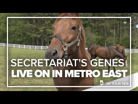 Racehorse Secretariat's genes live on in St. Louis area
