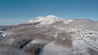 Eighty Eight Pixels Ltd Reviews and Clients | DesignRush