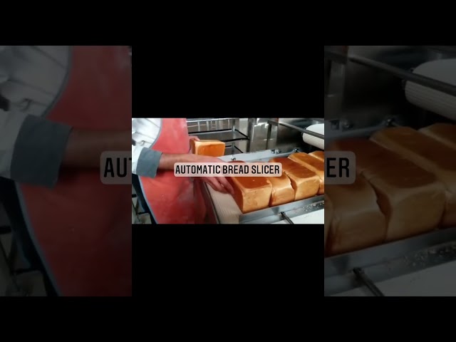 Slicer Machine - High speed Automatic Bread Slicer Machine XL Manufacturer from Ludhiana