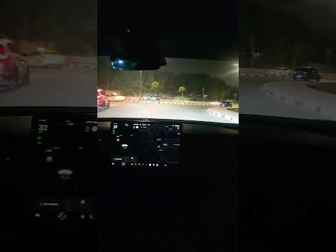 Experience with Tesla Taxi
