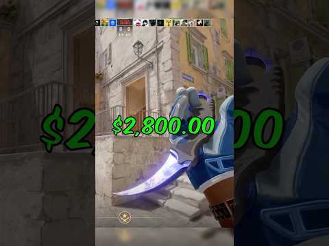 He Pulled a $2,800 Karambit Doppler!🔥