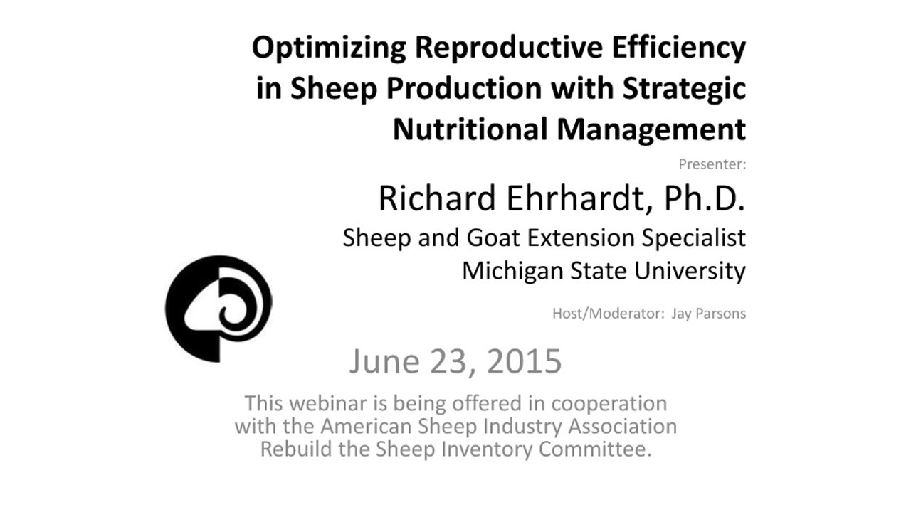 Optimizing Sheep Reproduction (12)
